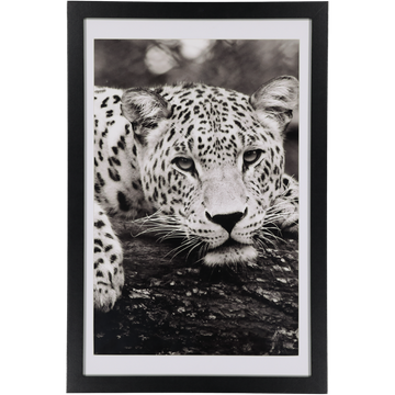 Shop Decor Accessories - Frames at PEP