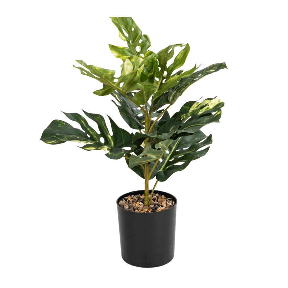 Shop Decor Accessories - Mirrors at PEP