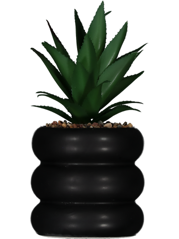 Shop Decor Accessories - Decorative plants & Artificial Flowers at PEP