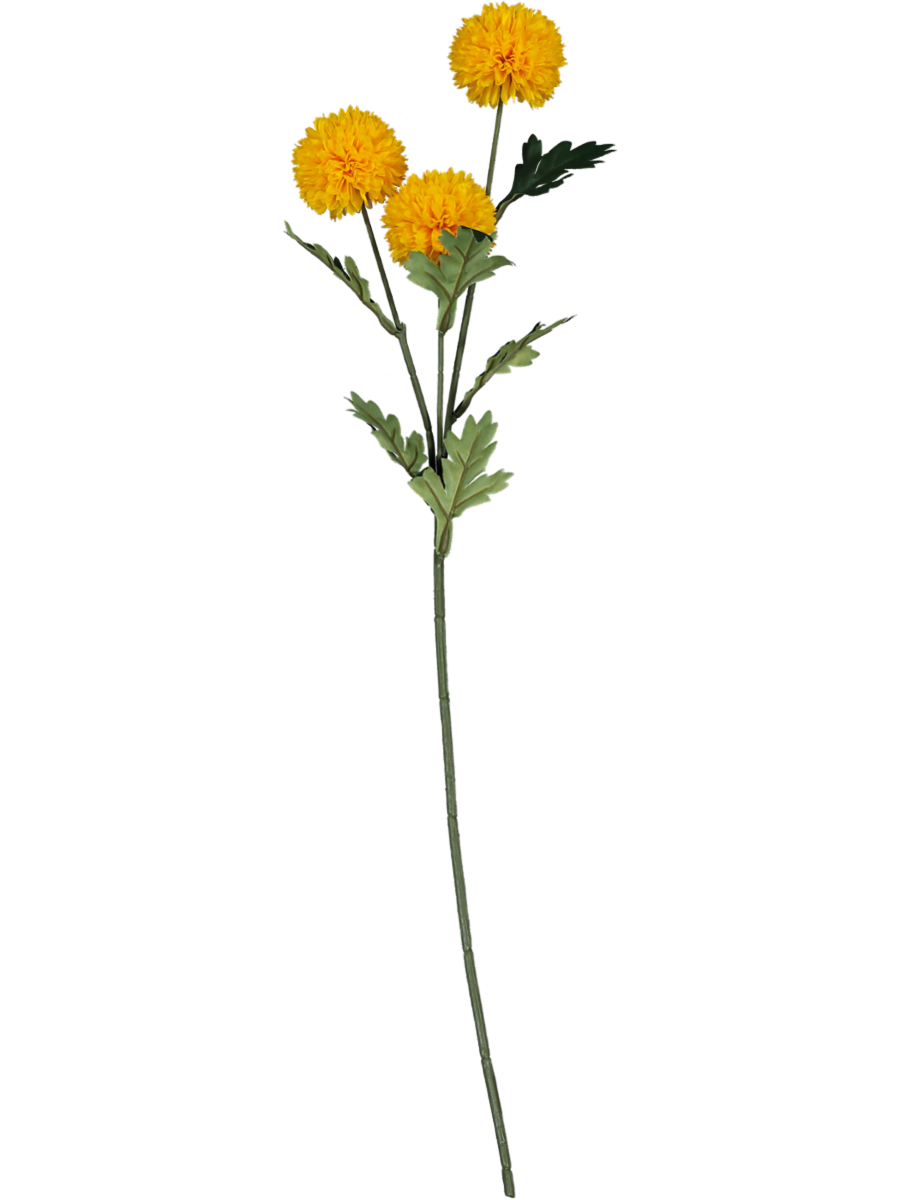 Gold Capsule Mirrors | Home | PEP