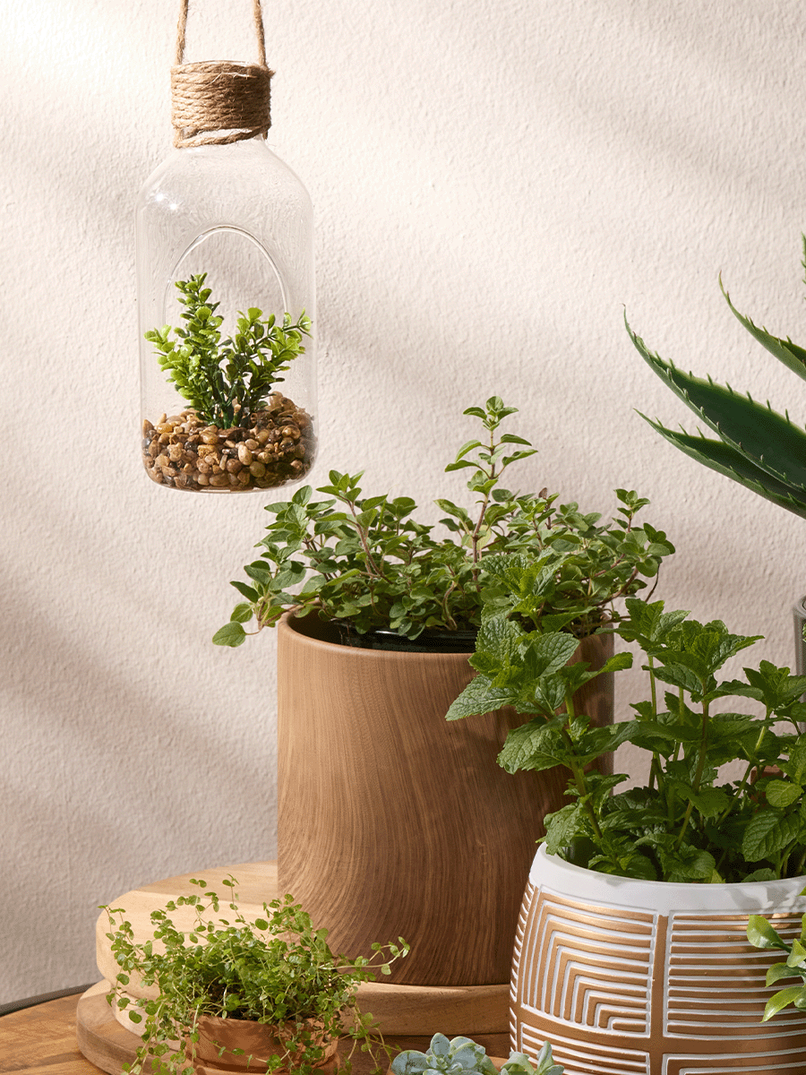 Gold Capsule Mirrors | Home | PEP