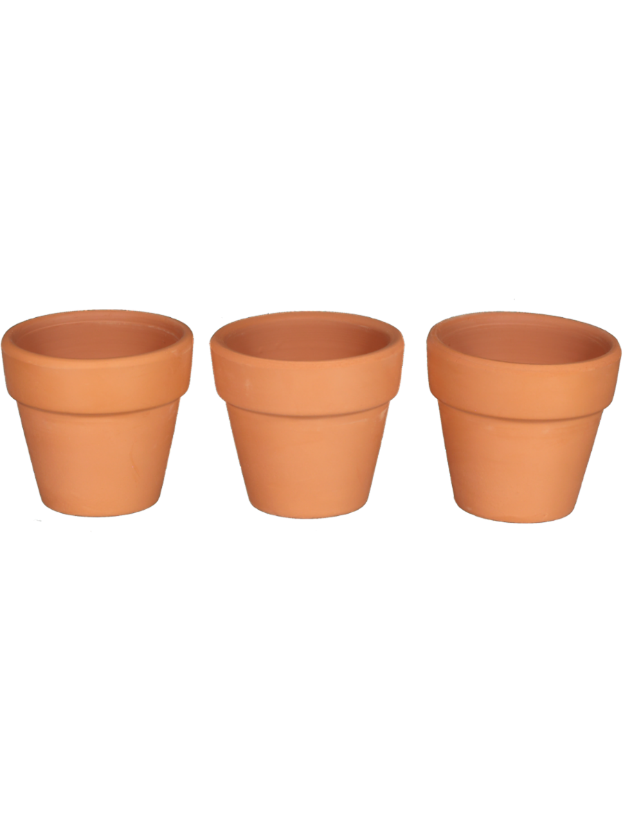 Shop Decor & Living Flowerpots online at PEP