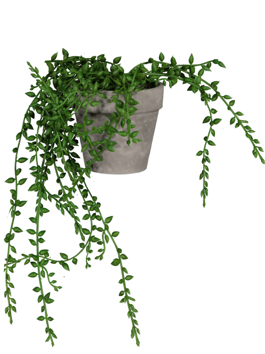 Diffusers | Home | PEP