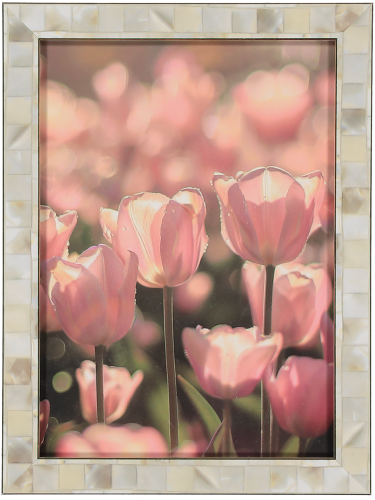 Shop Decor & Living Frames online at PEP