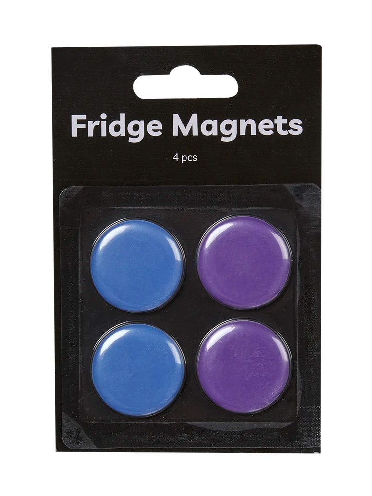 Colorful Fridge Magnets 4 Piece – PEP Online