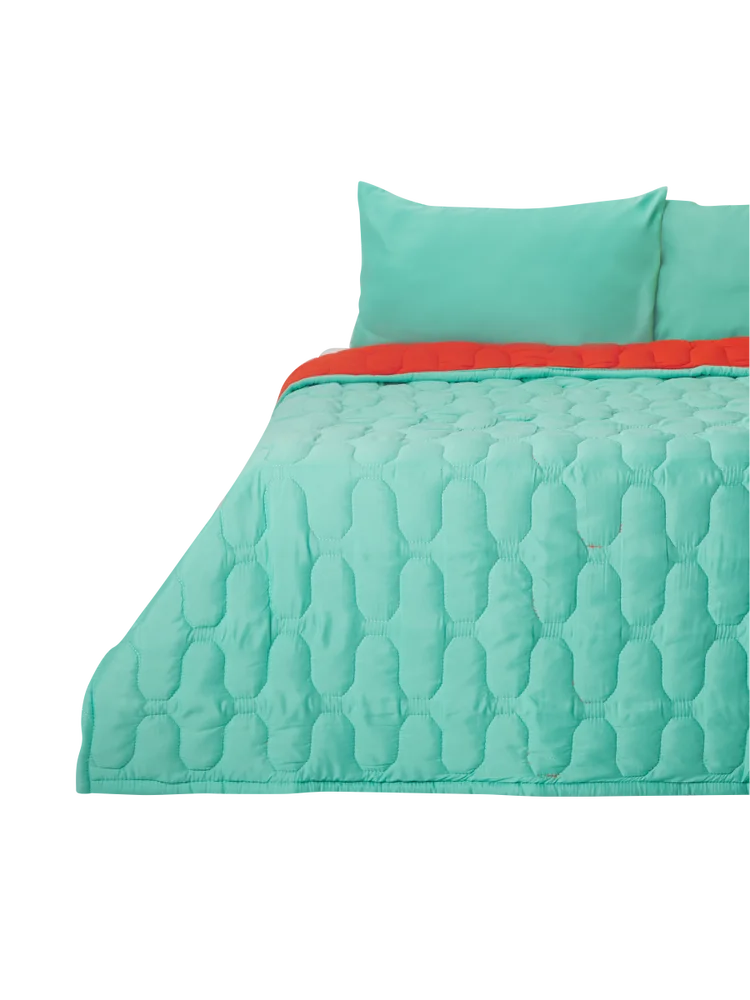 Queen Bed Ice Green And Orange Microfleece Tonal Comforters – PEP Online