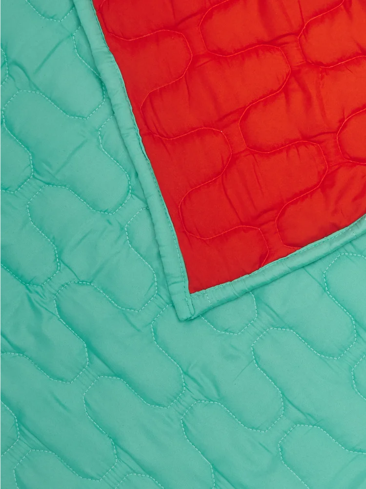Queen Bed Ice Green And Orange Microfleece Tonal Comforters – PEP Online